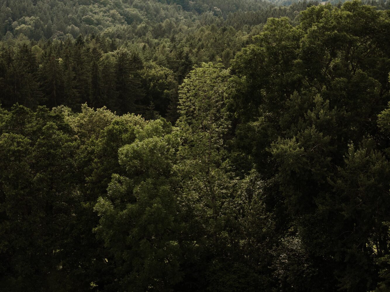 KVT – renewable feedstocks. closed loops. clean emissions.