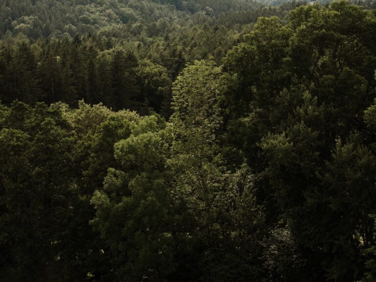 Kvt Renewable Feedstocks Closed Loops Clean Emissions